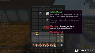 "Social" SkyBlock Skill!!! | Hypixel Forums