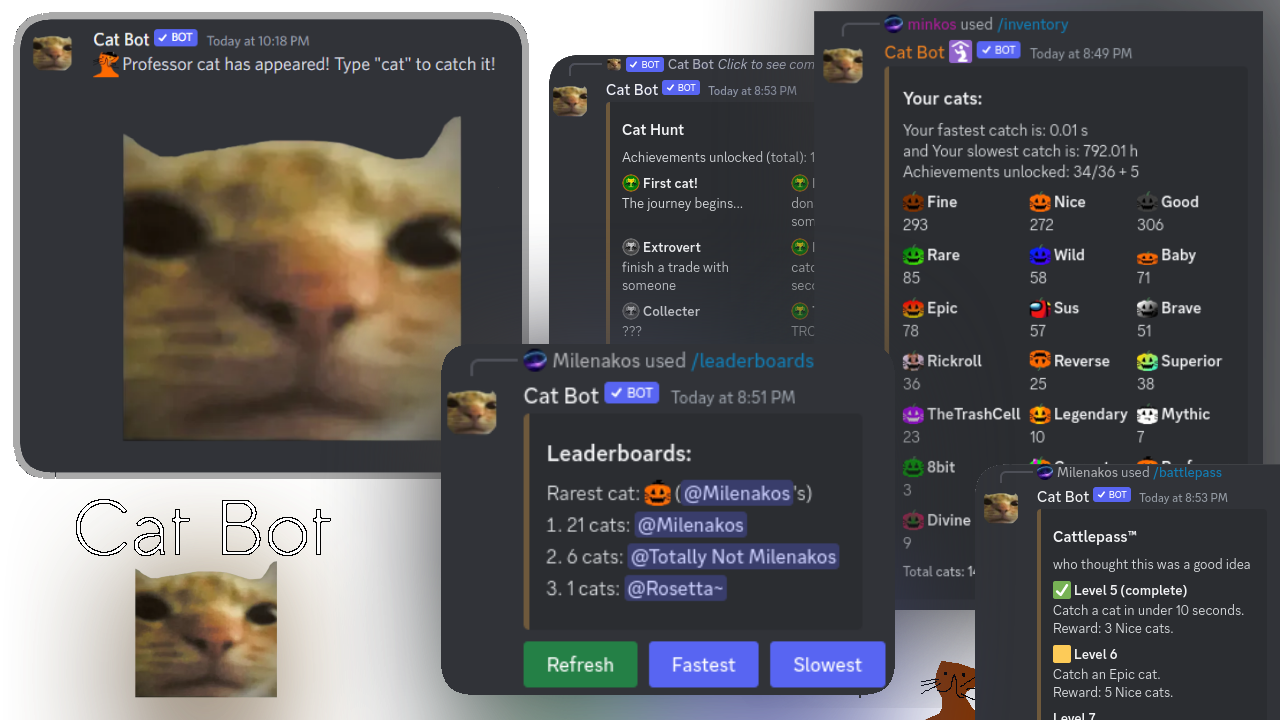 Cat Bot | Discord App Directory